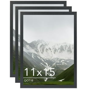 Picture Frames 11x15
