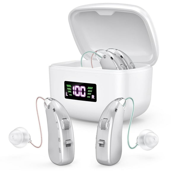 Vivtone Lucid508 Hearing Aids, Rechargeable with Charging Case, for ...