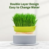 RKZDSR Soilless Hydroponic Cultivation Of Small Grass And Vegetables In ...