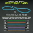 ProsourceFit Single Stackable Resistance Bands with Door Anchor and ...