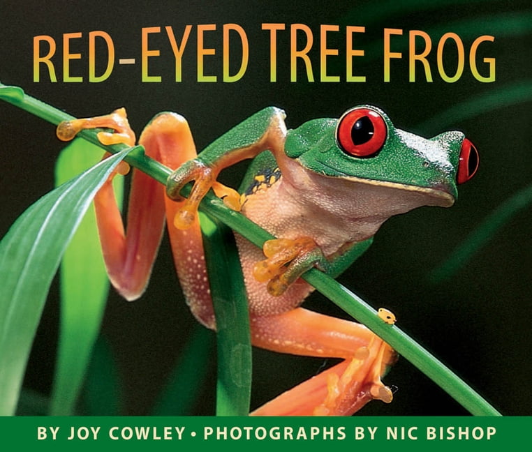 Red-Eyed Tree Frog (Hardcover) - Walmart.com