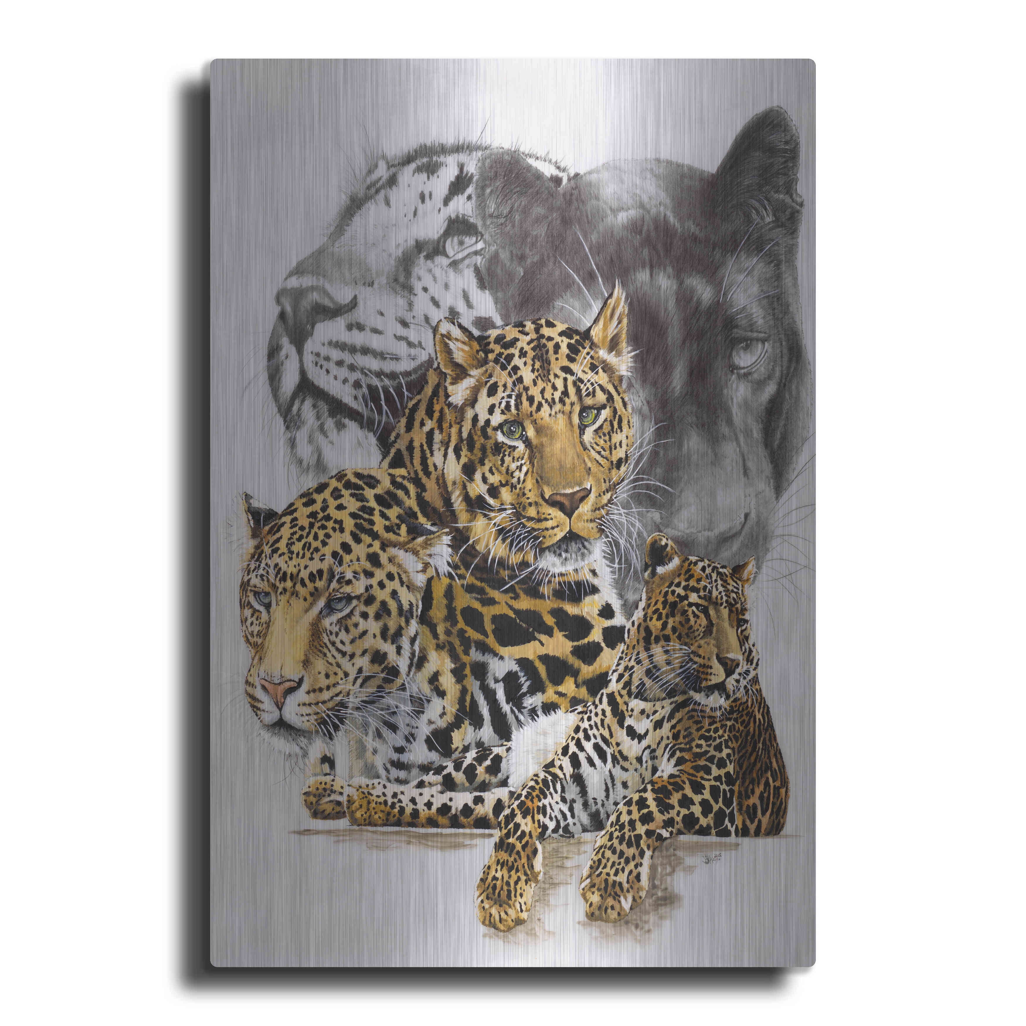 Luxe Metal Art 'Elusive' by Barbara Keith, Metal Wall Art, 12"x16 ...