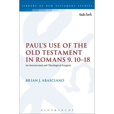 An Introduction to the New Testament, (Hardcover) - Walmart.com