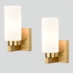 Moose 2-Light Modern Brushed Titanium Gold Wall Sconce with Clear Glass ...
