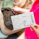 Kennel Cards 5" x 8 "- Perfect for Grooming Salons Animal Shelters Vet ...