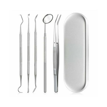 "VIVIDCRAFT Stainless Steel Toothpicks, Reusable Floss Dental Picks for ...