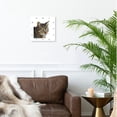 3drose, Stunning Tabby Cat Close up Portrait Vector Isolated, 15x15 ...