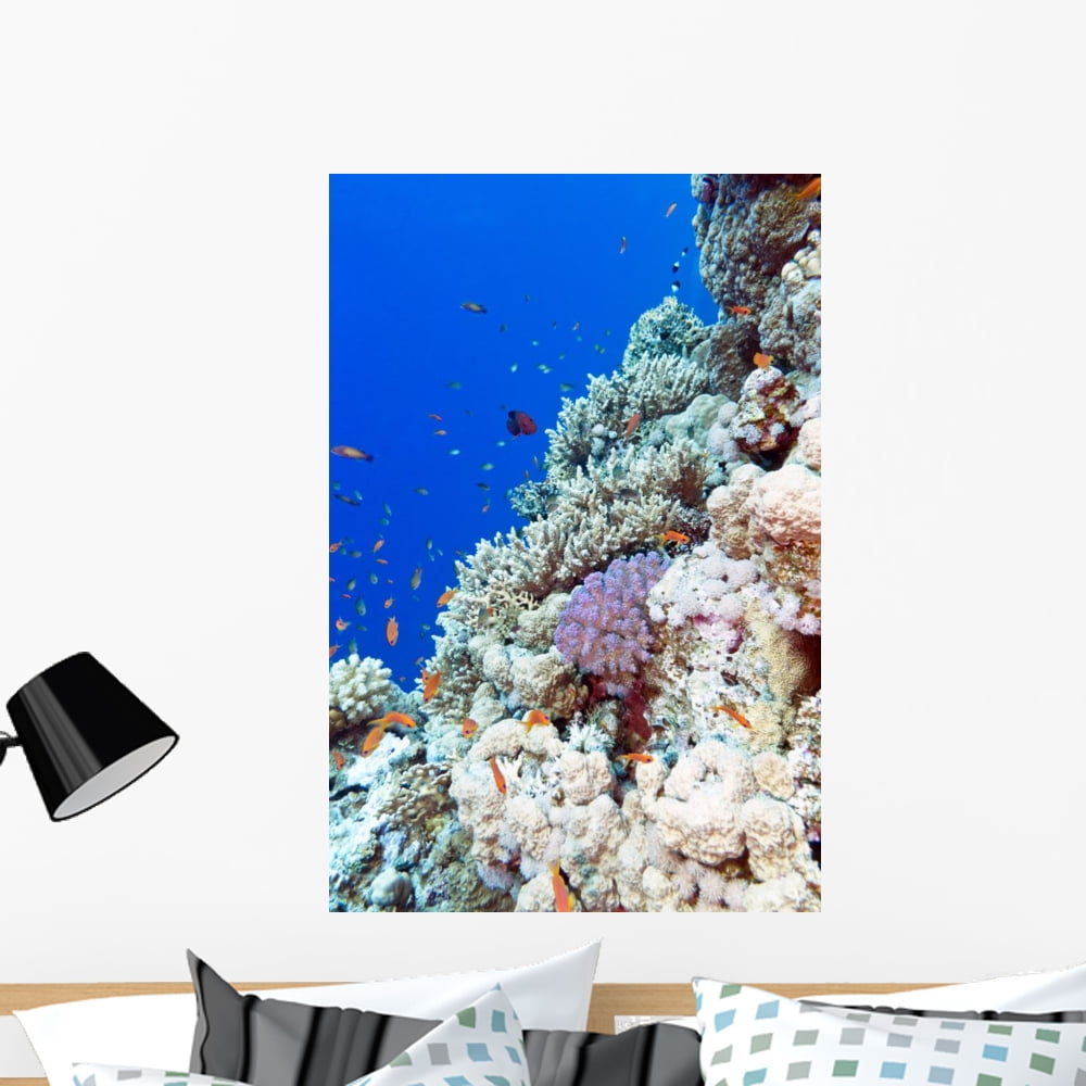 Colorful Coral Reef Tropical Wall Mural Decal Sticker, Wallmonkeys Peel ...