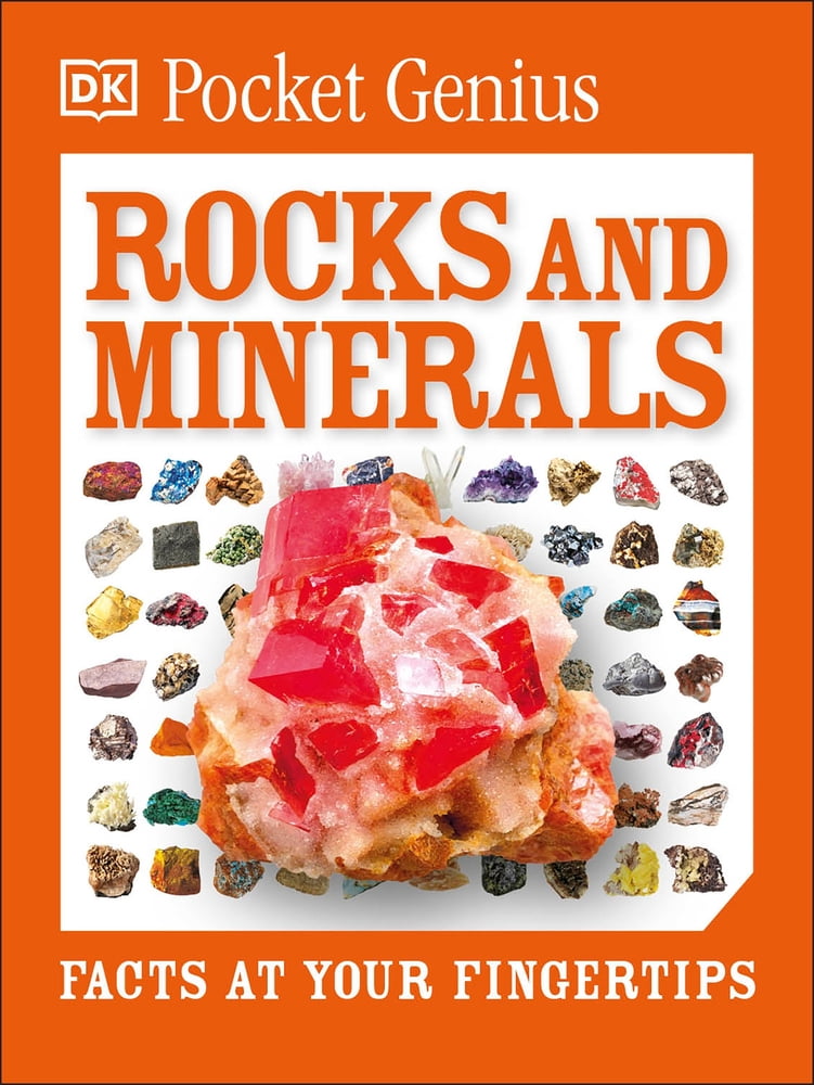Pre-Owned Pocket Genius: Rocks and Minerals: Facts at Your Fingertips ...