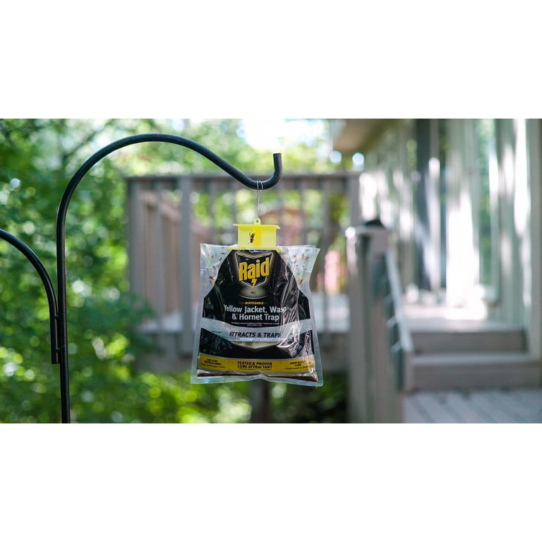 Yellow Jacket Trap