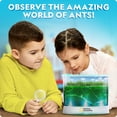 Blue Marble, National Geographic Light-Up Ant Habitat Kit with Built-In ...