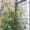Rustproof Black Metal Garden Trellis - 4 Pack of Sturdy Outdoor Plant ...