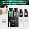 Zoyava Vitality Bundle - Sea Moss, Black Seed Oil, Ashwagandha ...