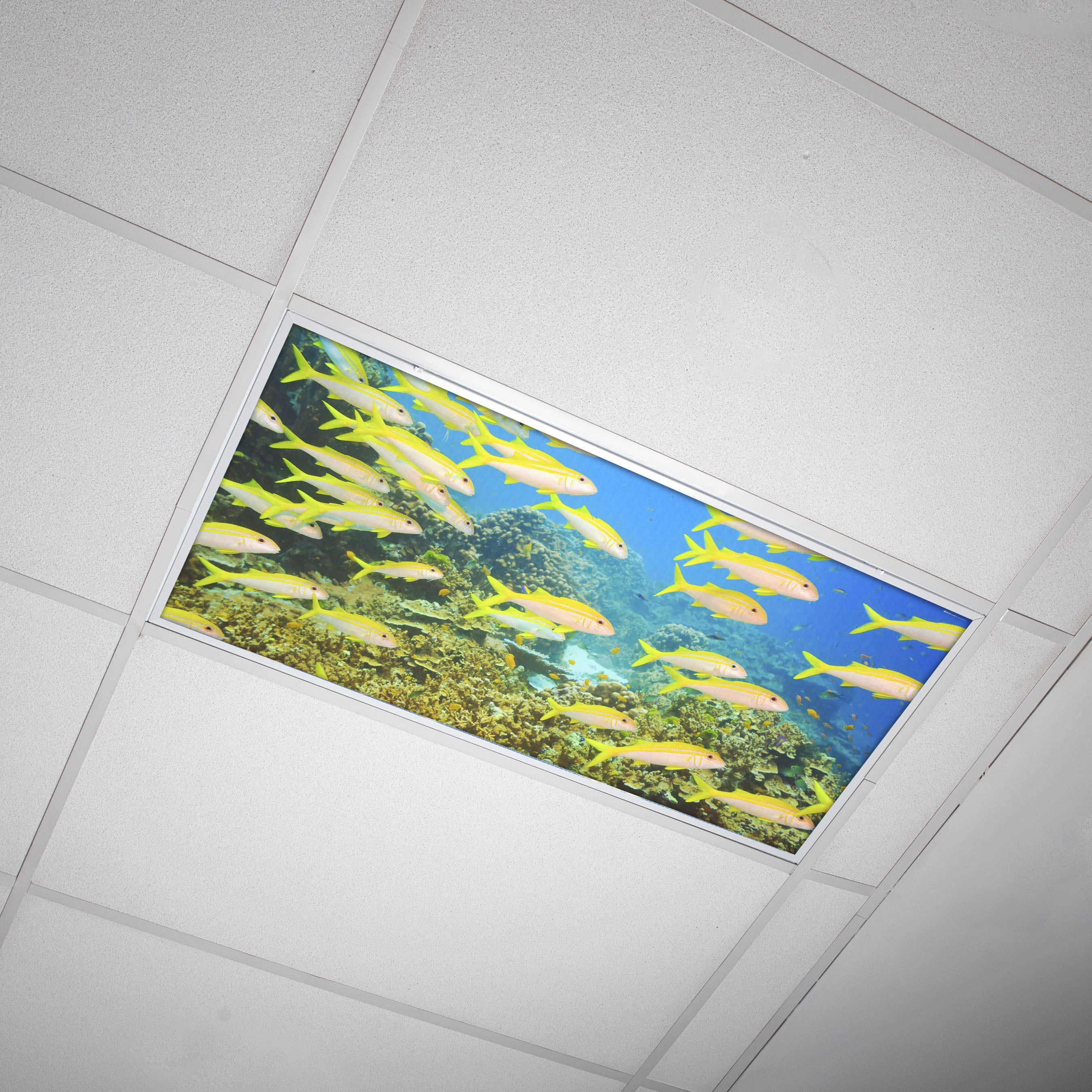 Octo Lights - Fluorescent Light Covers - 2x4 Flexible Ceiling Light ...