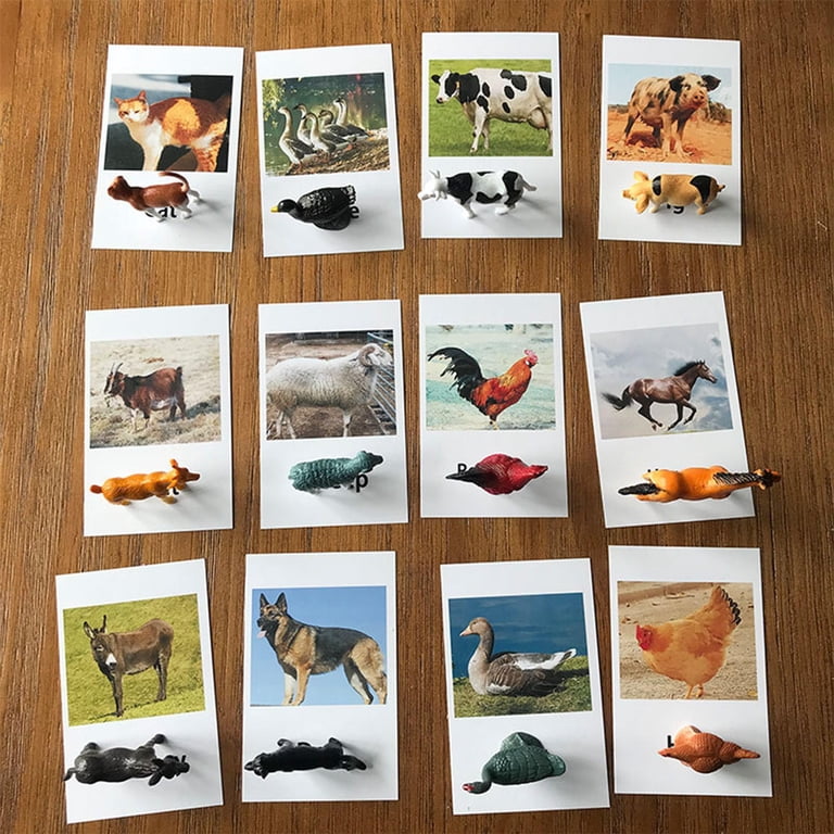 Farm Animals Collage For Toddlers