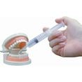 2026 Best 10 Pack Graduated Curved Tip Dental Irrigation Syringes, Oral ...
