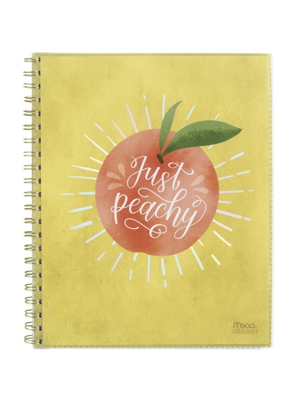 Mead Planners in Calendars and Planners - Walmart.com