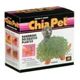 As Seen on TV Chia Pets Chia Dinosaur - Walmart.com