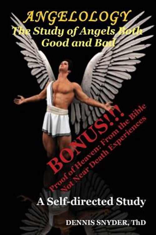 Pre-Owned Angelology : The Study of Angels Good and Bad: Self-directed ...