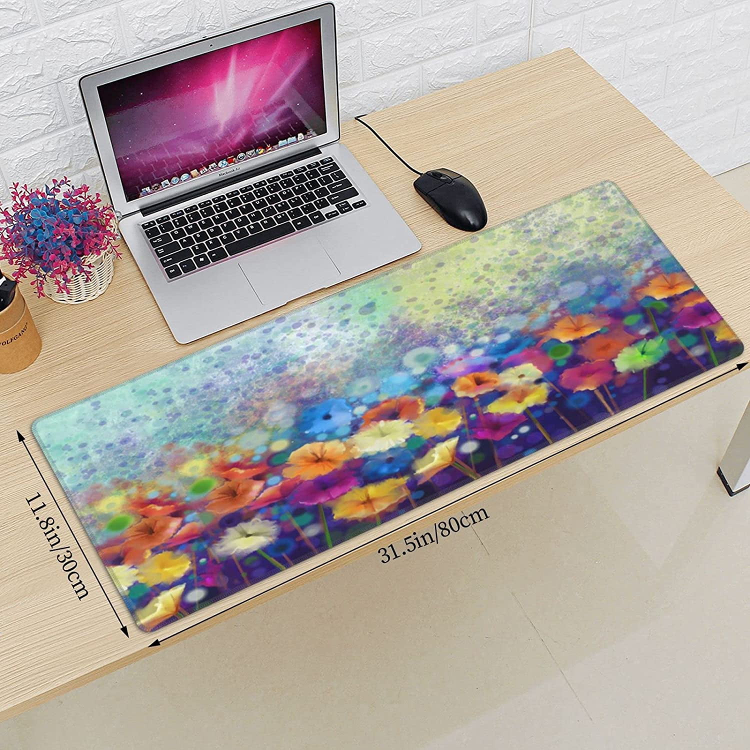 Beautiful Colorful Garden Plants Wide Nature Landscape Poppy Flowers ...