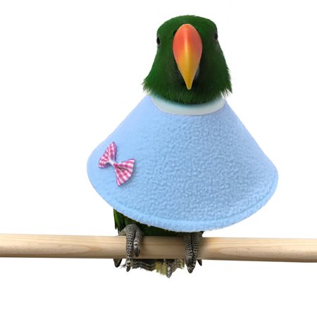 Bird Cloak Parrot Protection Cone Neck Recovery Collar Birds ...