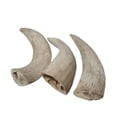 Rozie's Naturals, Water Buffalo Horn Core Dog Chews, 2 Count, 10 oz ...