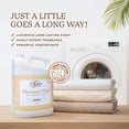 Tyler Glamorous Wash Liquid Laundry Detergent, Bundle with Stain ...