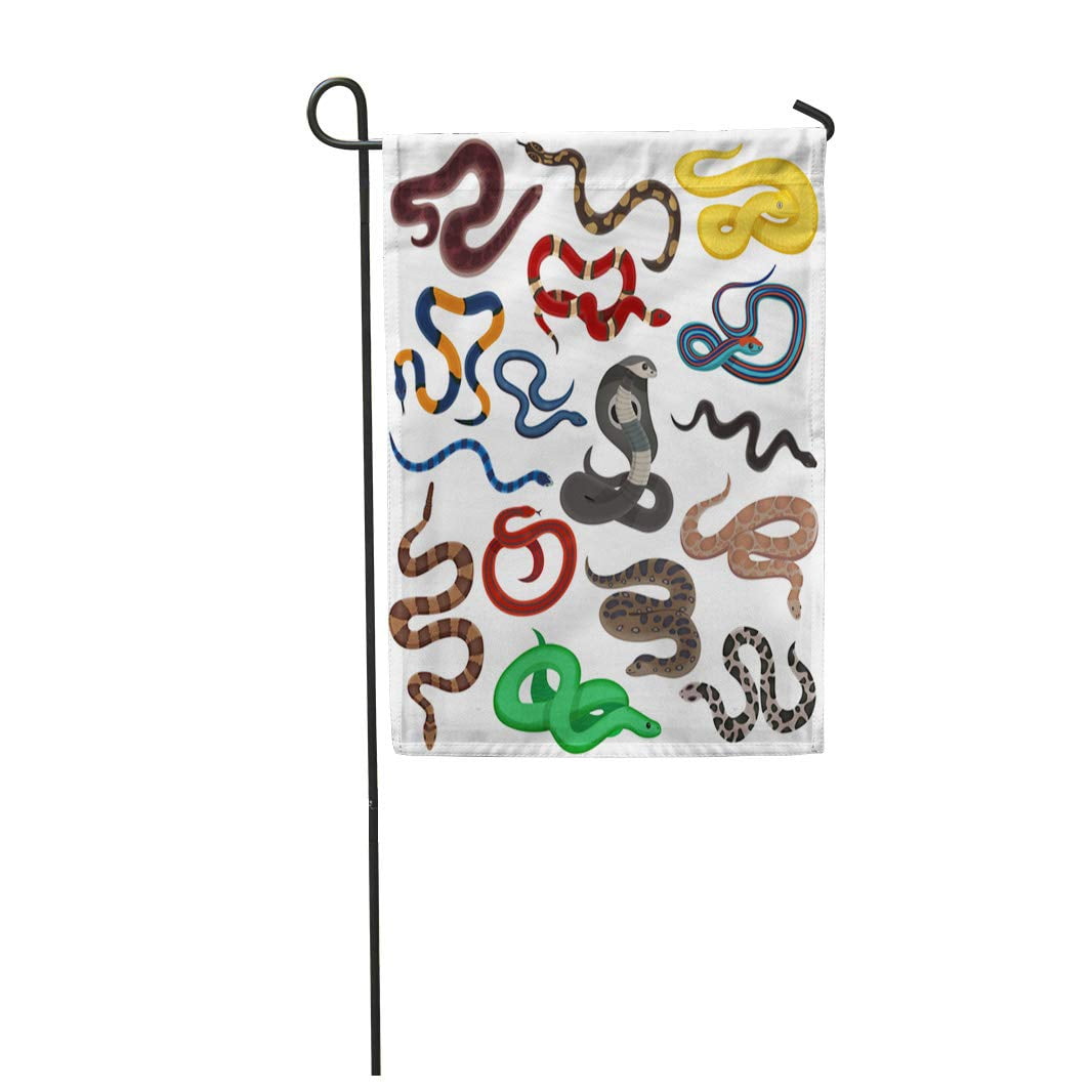 LADDKE Reptiles of Venomous Snake Creatures Different Colors and Skin ...