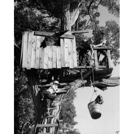 Low angle view of three children playing in a tree house Poster Print ...