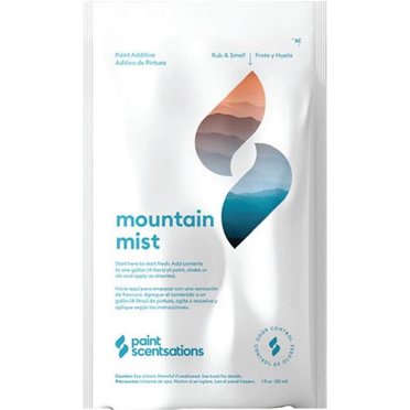 Gumout Engine Starting Fluid for Gas Fuel Car Motor Auto - Walmart.com