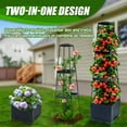 Garden Indoor And Outdoor Two Pack 44.8" Tomato Planting Box with Grid ...