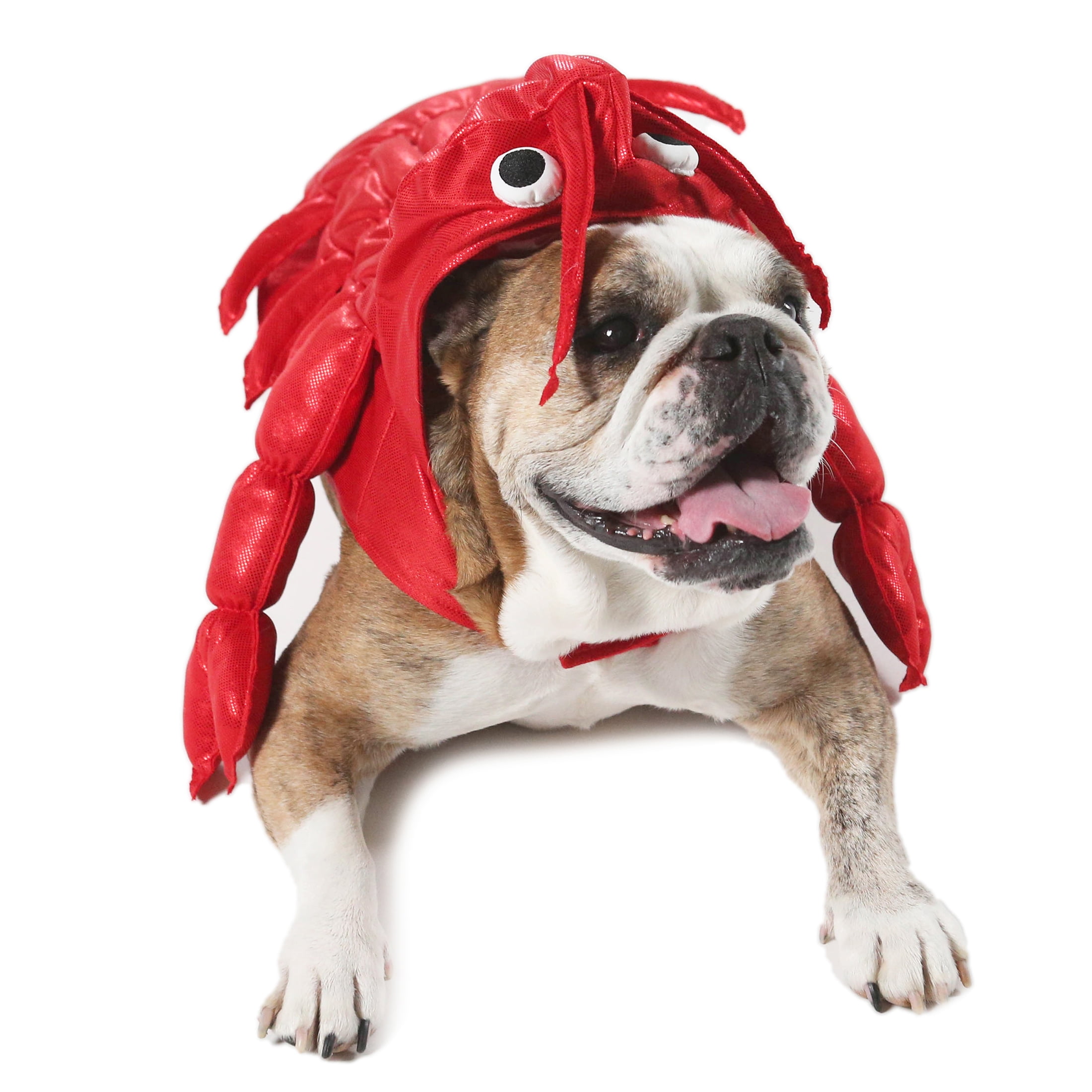 Lobster Dog Hat