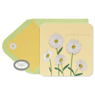 Pack of 10 Get Well Soon Cards with Envelopes (4 x 5.12 Inch) - Bunches ...