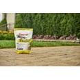 Tomcat Mole And Gopher Repellent Granules Safe For Lawn And Garden Formulated With Castor Oil 4