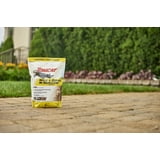 Tomcat Mole & Gopher Repellent Granules, Safe for Lawn and Garden ...