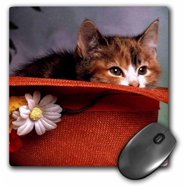 3dRose Black Cat with Flower, Mouse Pad, 8 by 8 inches - Walmart.com