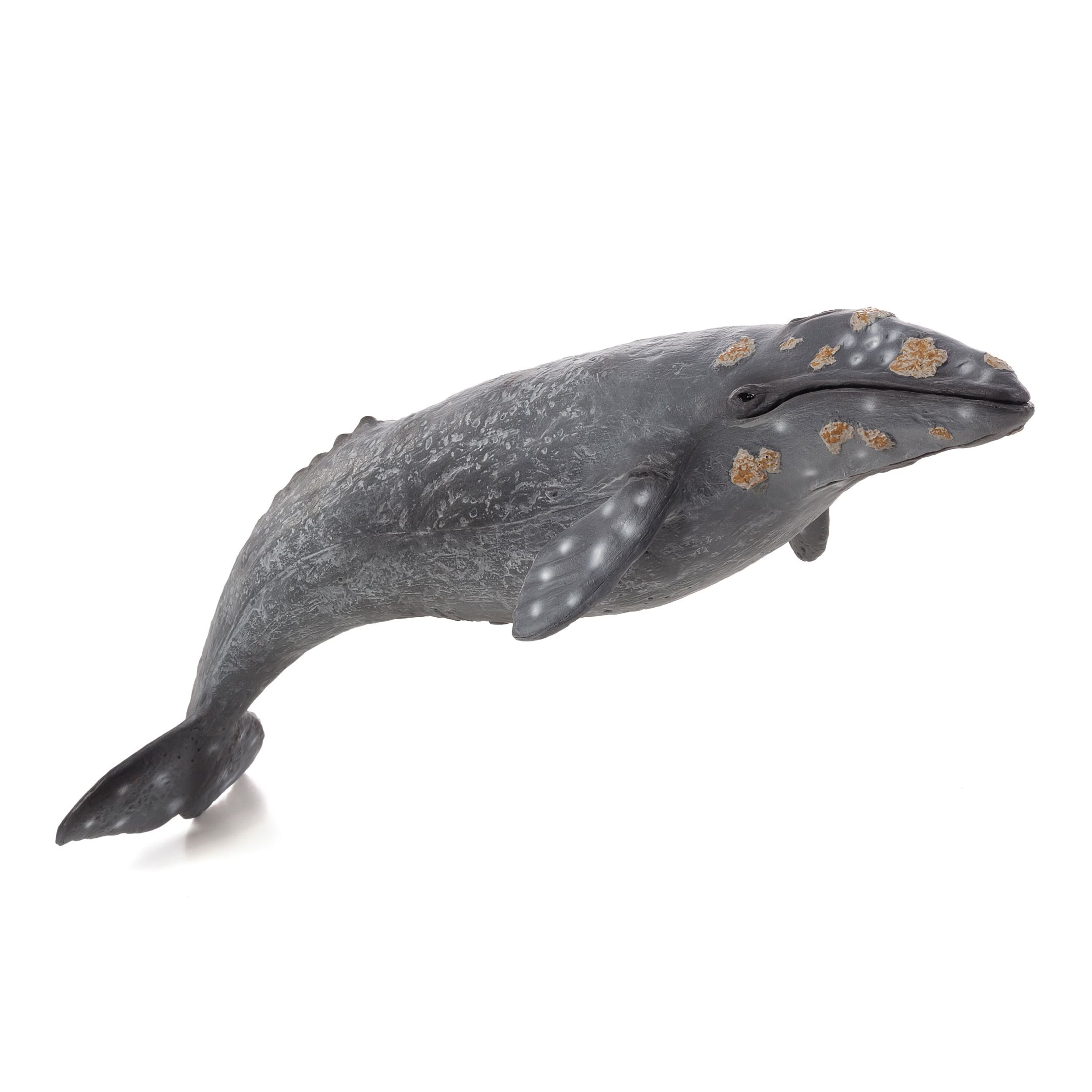 MOJO - Realistic International Wildlife Figurine, Large Grey Whale ...