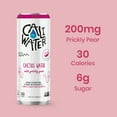 Caliwater Organic Prickly Pear Nopal Cactus Water Drink: Vegan, Non-GMO ...