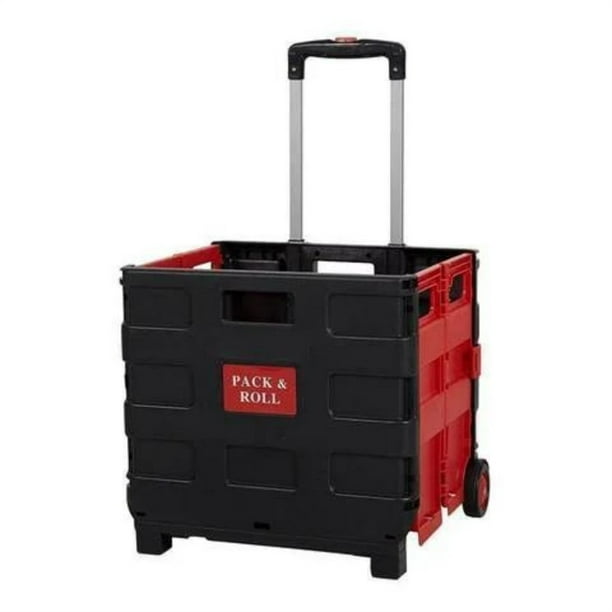 Collapsible Rolling Crate