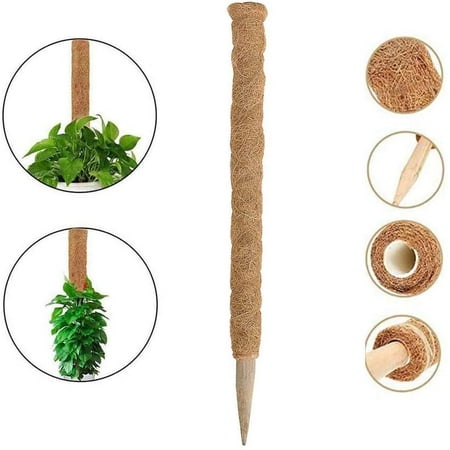 Coir Moss Pole, Garden Coir Moss Stake for Plant Climbing Plants ...