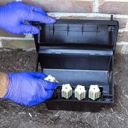 Little Giant LT1 18 Inch Reinforced Live Animal Trap with Single Door ...
