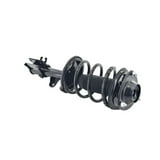 FCS Automotive International Complete Strut Assembly - Walmart.com