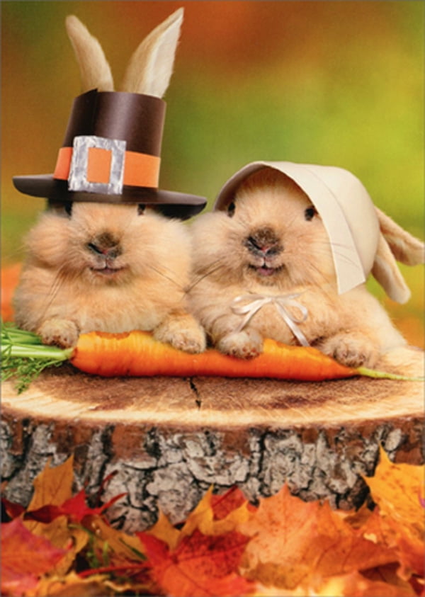 Avanti Press 2 Pilgrim Rabbits on Tree Stump Thanksgiving Card ...