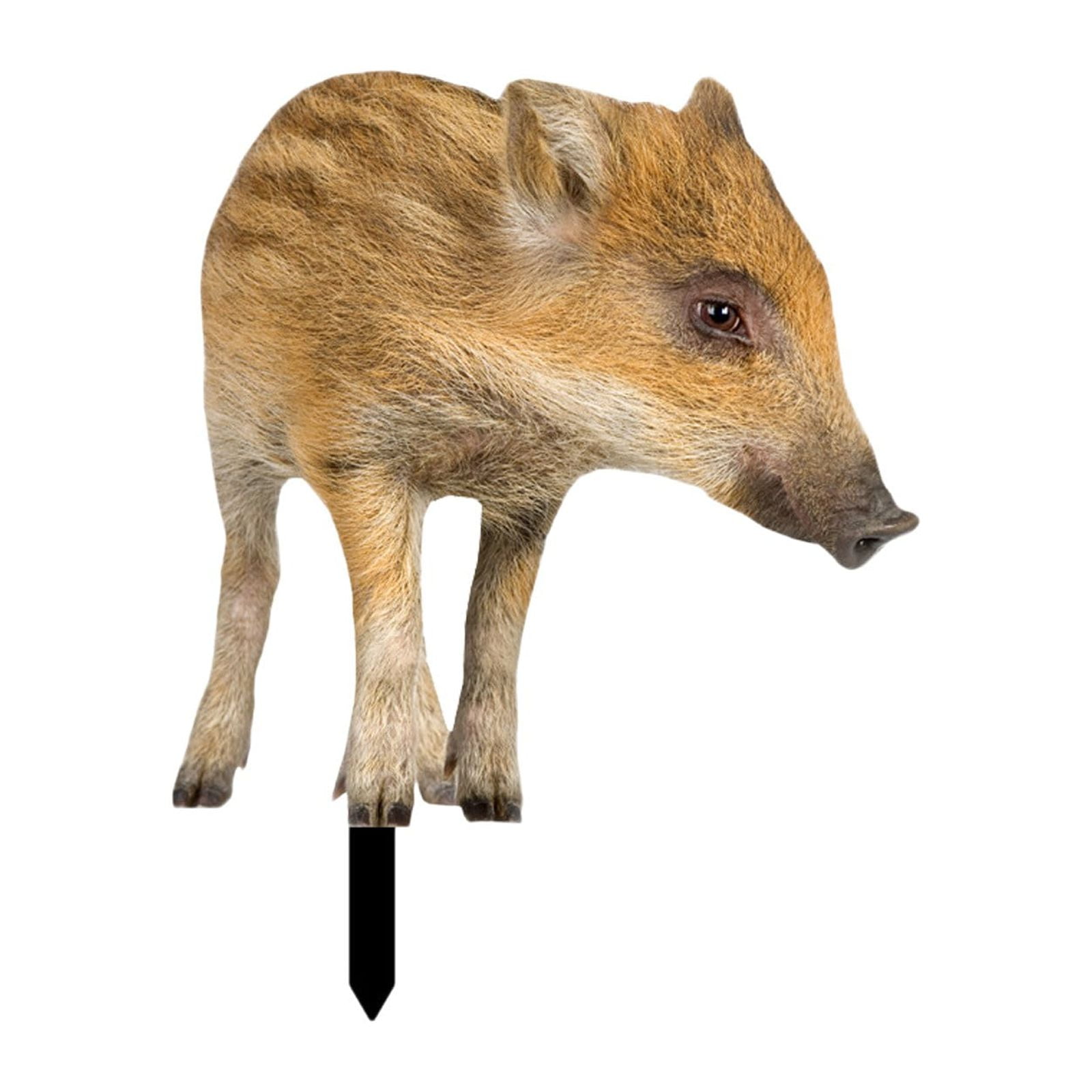 Pig Courtyard Decoration Acrylic Card, Double-Sided Printing Animal ...