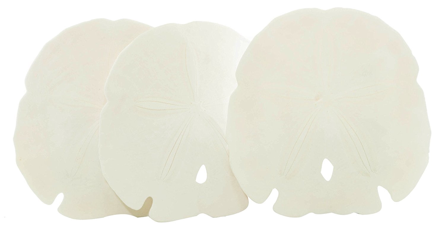 Mexican Arrowhead Sand Dollars | Real Sand Dollars 3 1/2" - 4" | Set of ...