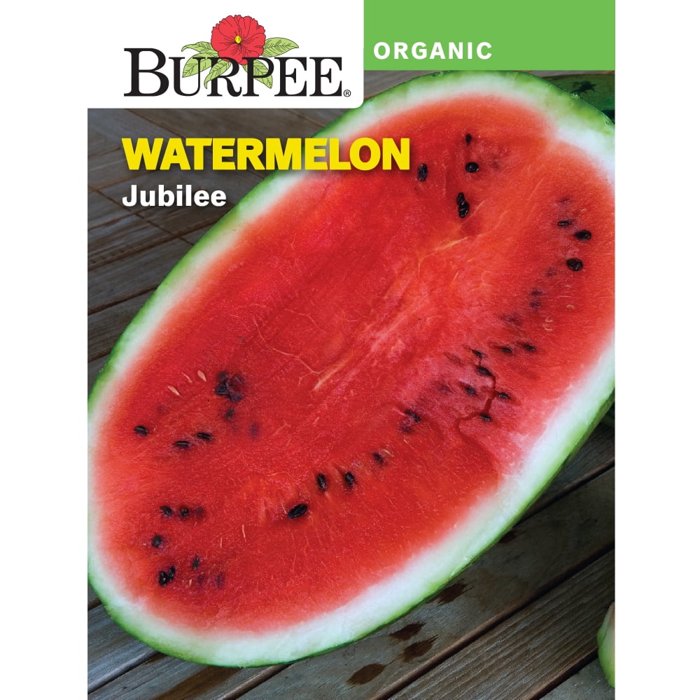 Burpee Organic Jubilee Watermelon Vegetable Seed, 1-Pack - Walmart.com ...