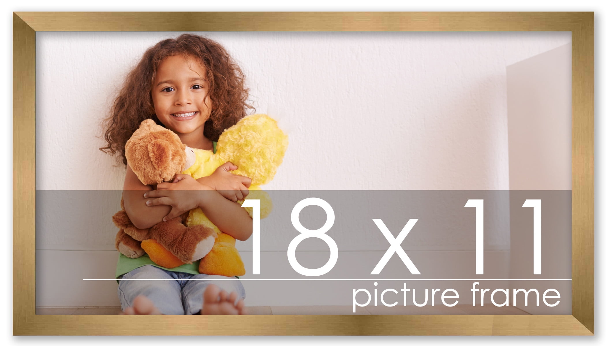 18x11 Contemporary Bronze Complete Wood Picture Frame with UV Acrylic ...
