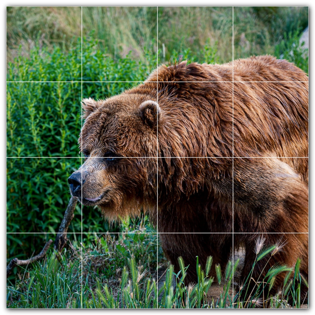 Picture-Tiles.com: Bear Ceramic Tile Wall Mural WAL500120-44XL. 48"W x ...