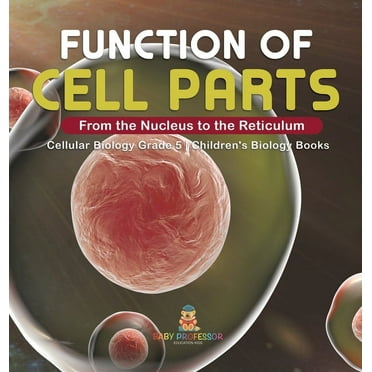 Cellular Biology: Organelles, Structure, Function (Paperback) - Walmart.com