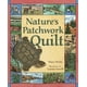 Nature's Patchwork Quilt : Understanding Habitats (Paperback) - Walmart.com